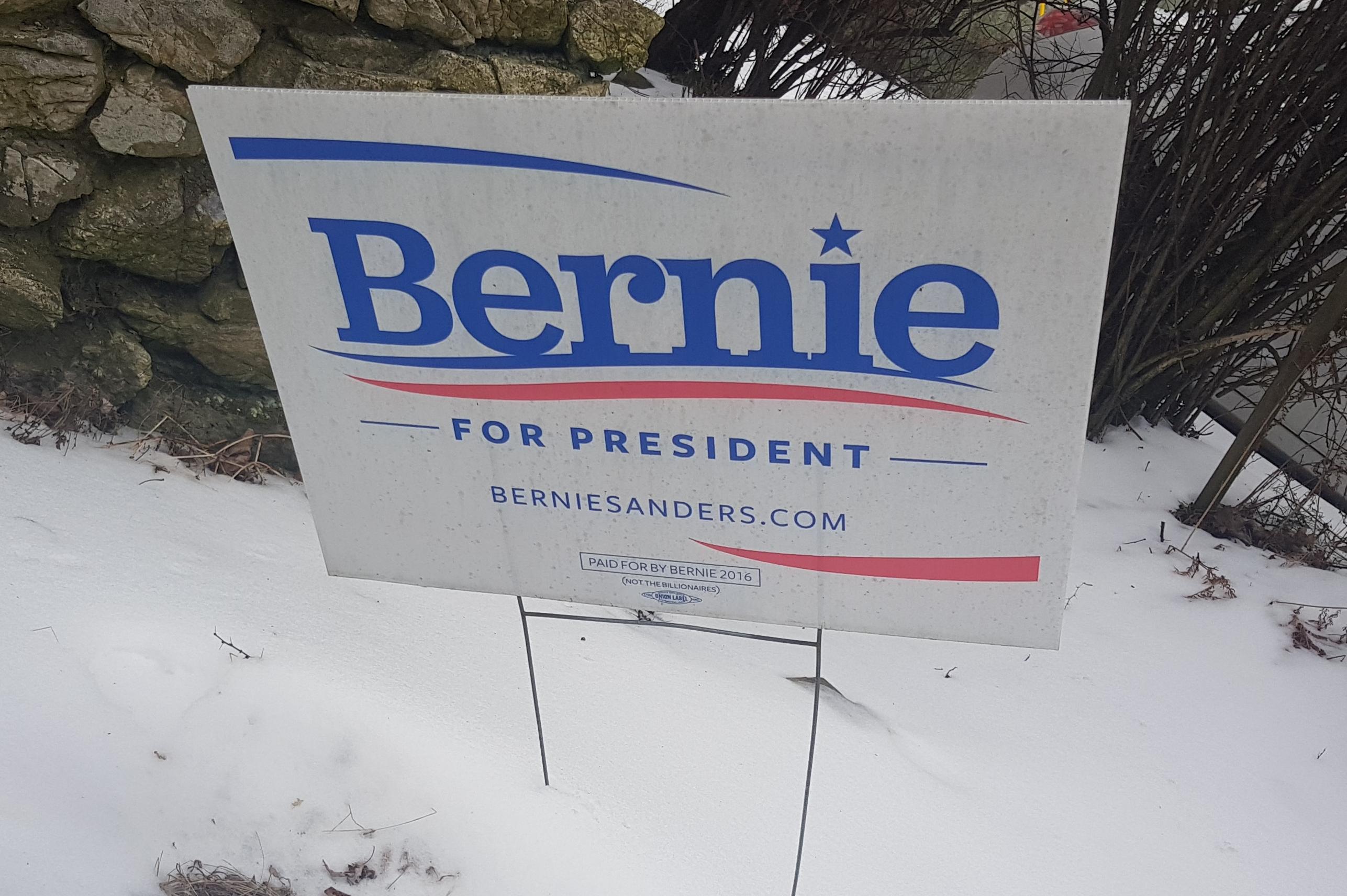 Bernie and the movement :: Peter Frase